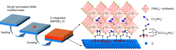Featured Technology: Highly Sensitive, Silicon-Integrated Perovskite X ...